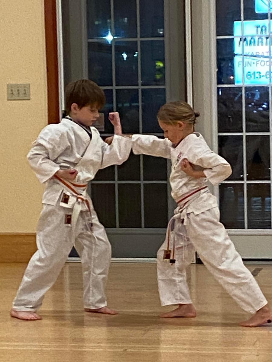 Weekly Update – March 11th, 2024 – Testing Week – Tallack Martial Arts ...